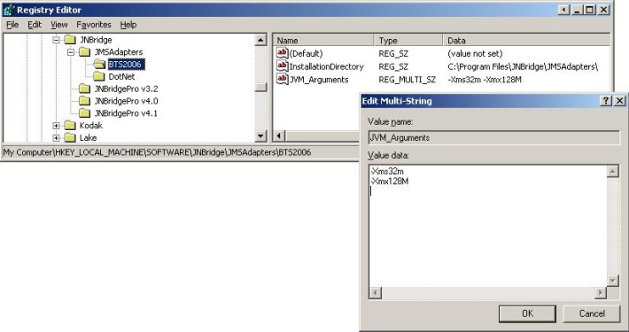 How to send arguments to the JVM when using the JNBridge JMS adapters for .NET and BizTalk ...